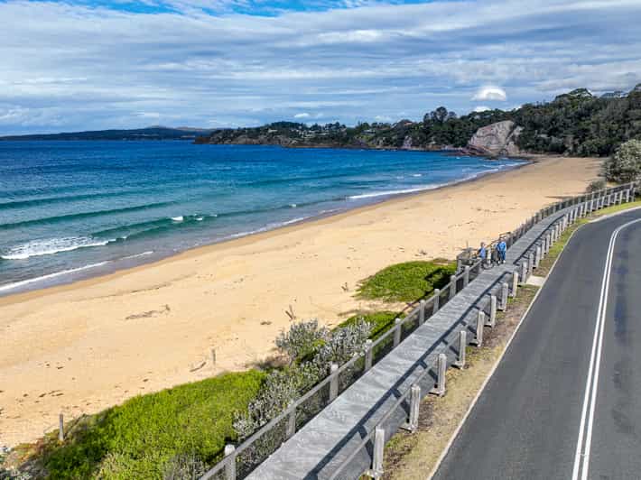 Eden by Bike Tour visit Aslings Beach and Lake Curalo | GetYourGuide