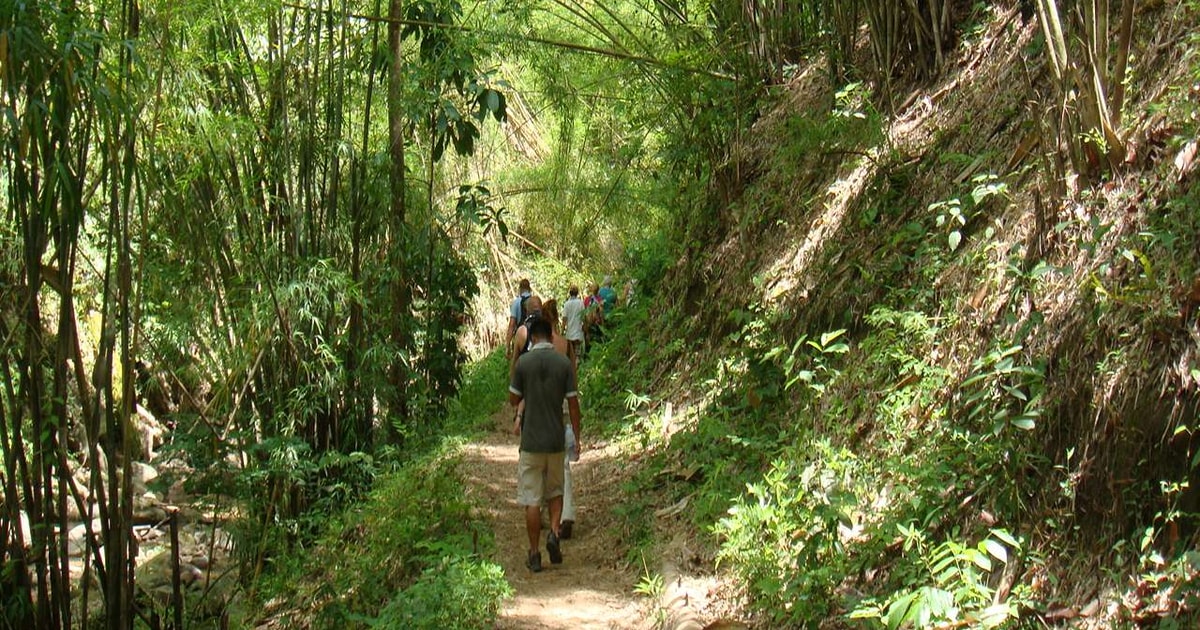 Chiang Mai: A Day Trek in National Park & Bamboo Rafting | GetYourGuide
