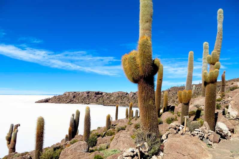 From Sucre: Uyuni salt flat tour 2 days 1 night | GetYourGuide
