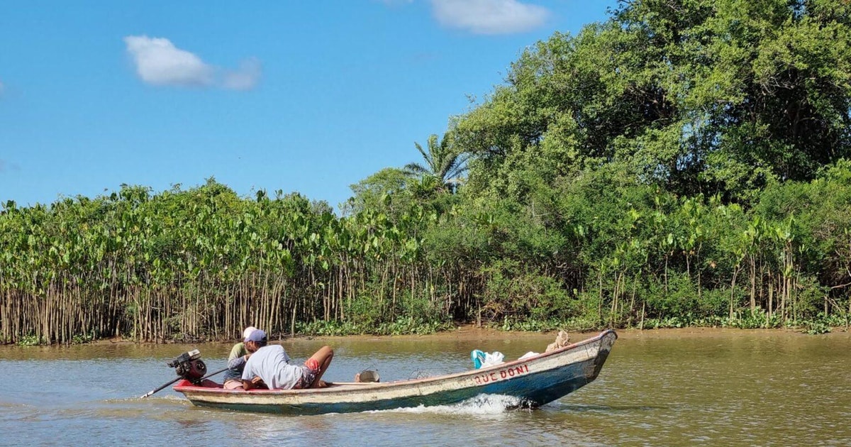 Delta Islands – Tutóia Private Tour | GetYourGuide
