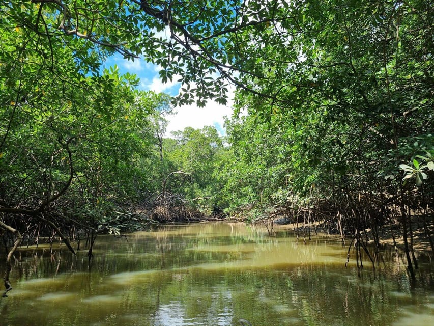 Delta Islands – Tutóia Private Tour | GetYourGuide