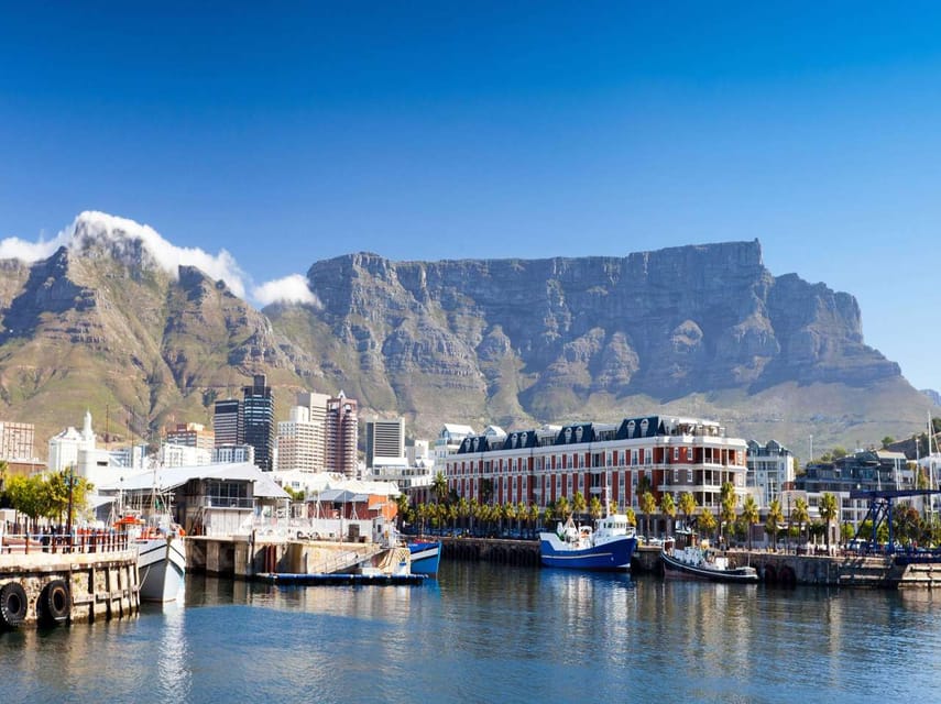 Cape Point, Penguins & Table Mountain Private Day Tour | GetYourGuide