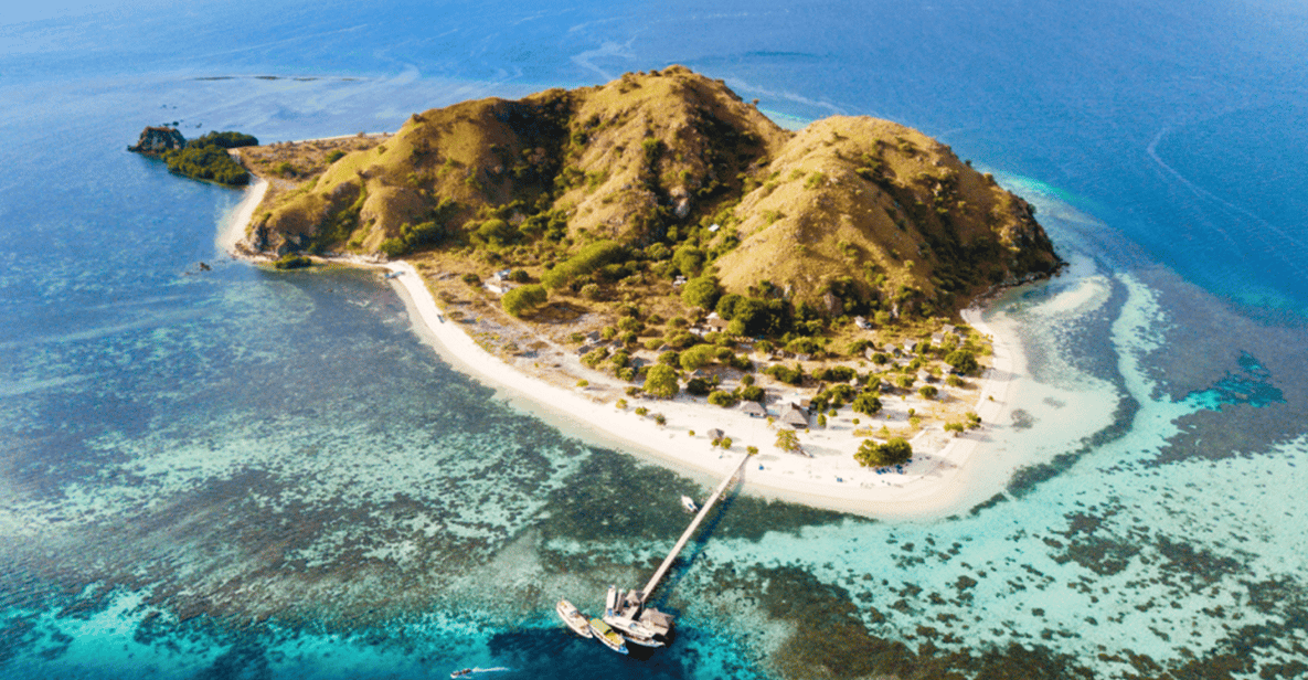 Labuan Bajo: Jednodenní výlet na Komodo rychlým člunem | GetYourGuide