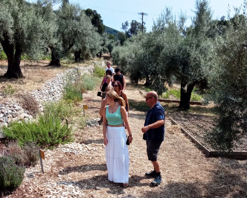The Olive Oil Experience @ Lefkada Micro Farm | GetYourGuide
