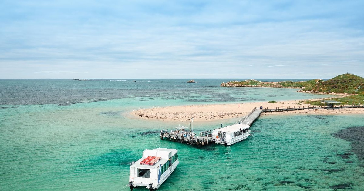 Perth: Fish n Chips ile Yunus, Fok Balıkları ve Vahşi Yaşam Gezisi ...