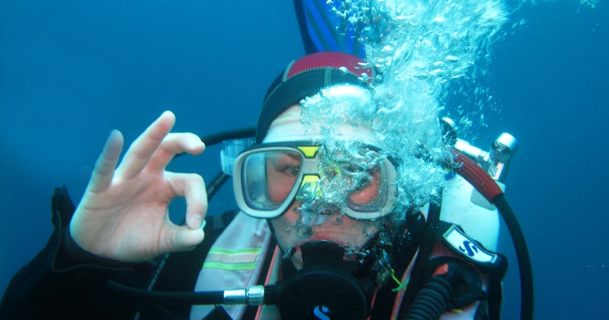 Beli - Discovery dive | GetYourGuide