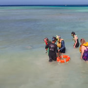 Seascooter Snorkeling Tour Mangel Halto Beach | GetYourGuide