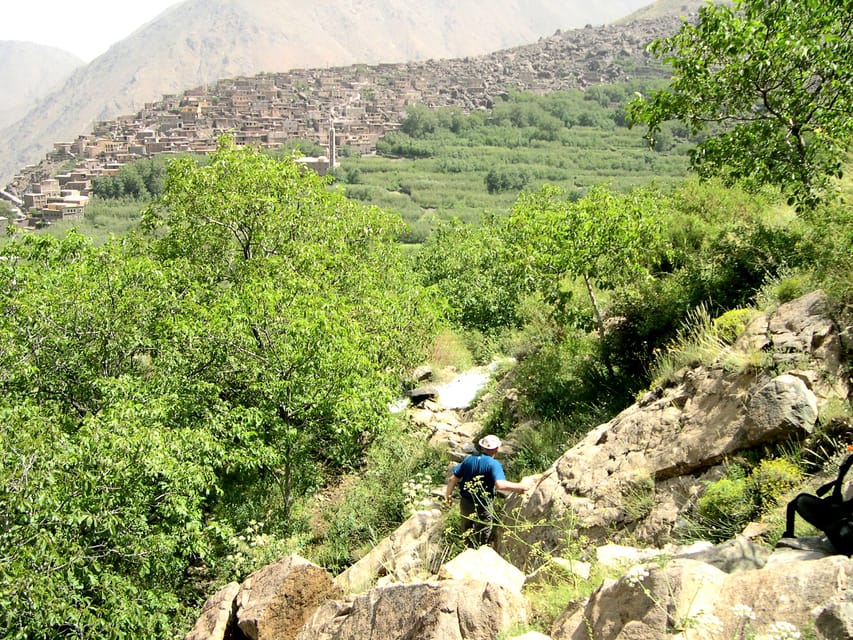 Atlas Mountains-desert-Camel ride &Waterfalls Day Trip | GetYourGuide