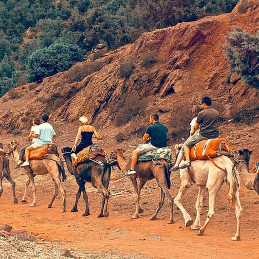 Atlas Mountains: Berber Valleys, Waterfalls & Camel Ride | GetYourGuide