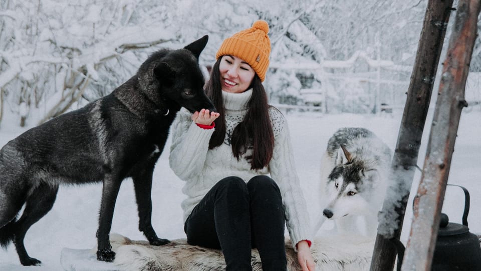 Meet Taivas & the Arctic Wolves | GetYourGuide