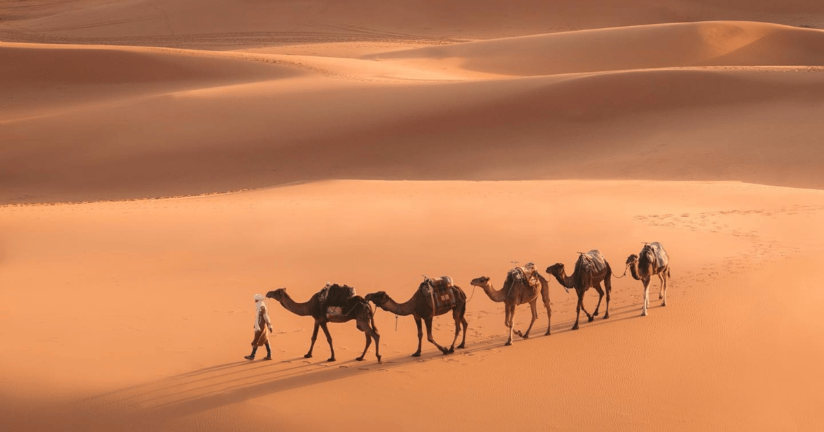 Z Marrakeszu: 3-dniowa wycieczka do Merzougi i na Saharę | GetYourGuide