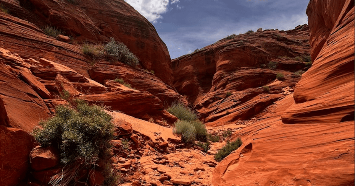 From Antelope Canyon: Private Mountain Sheep Canyon Tour | GetYourGuide