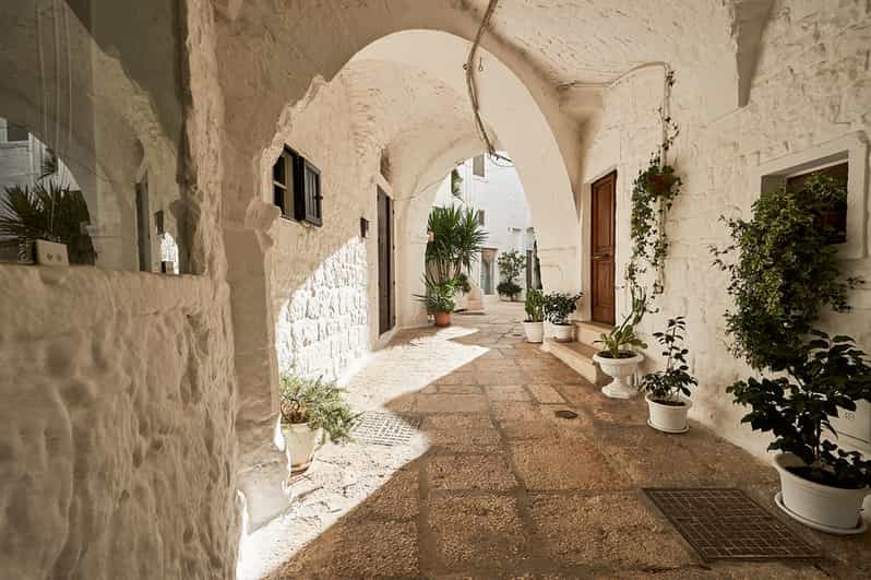 Visit a winery and an oil mill in Cisternino | GetYourGuide