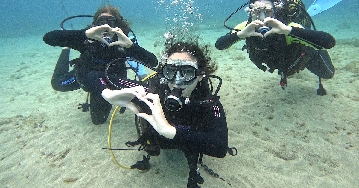 Tenerife: Beginner's Dive at a Spot with Turtle Sightings | GetYourGuide