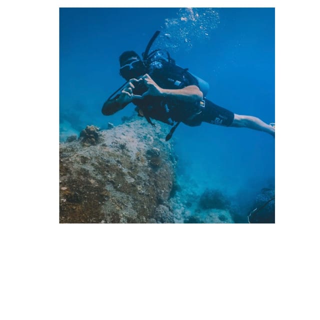 Discover Costa Maya’s Marine Marvels: Dive into the Abyss | GetYourGuide