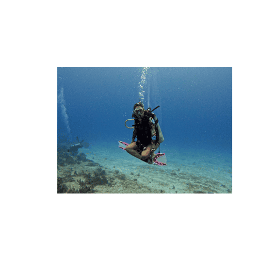Mesmerizing Wall Dive, Costa Maya, Mahahual. | GetYourGuide
