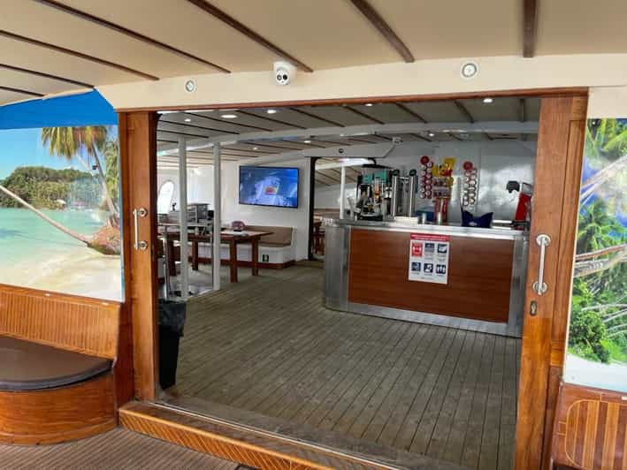 Puerto Rico :4 hour Catamaran Excursion in the south | GetYourGuide