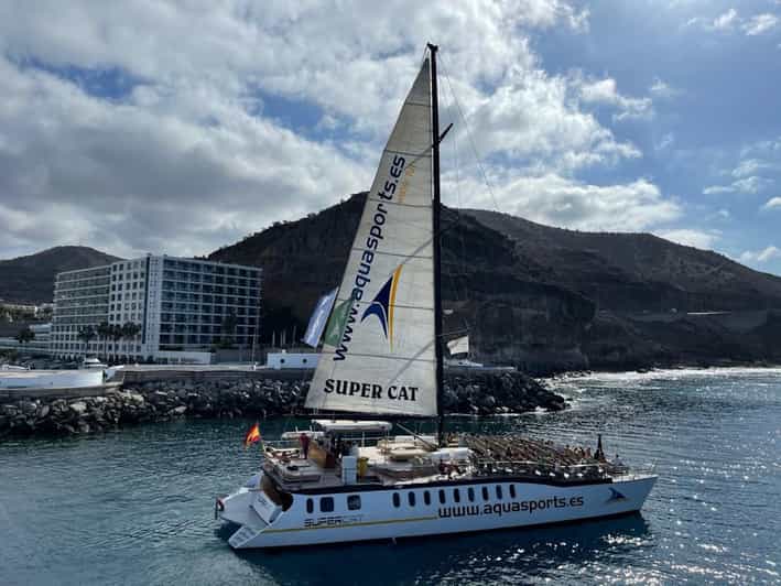 Puerto Rico : Excursión de 2 horas en catamarán con delfines | GetYourGuide