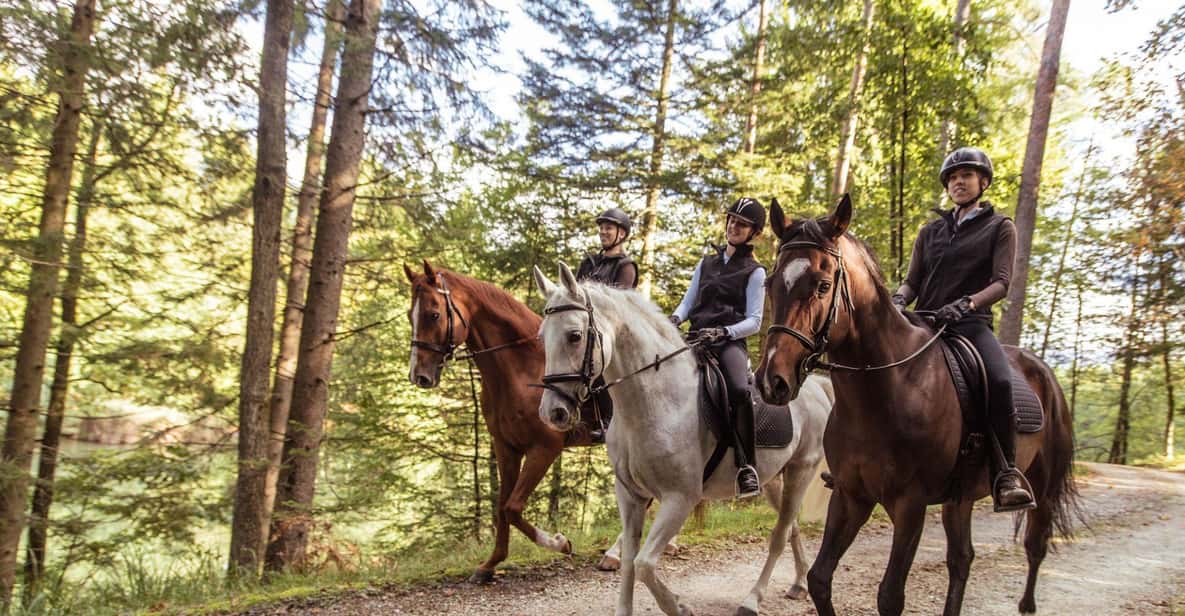 Agadir: Forest and Sand Dunes Guided Horse Riding Tour | GetYourGuide