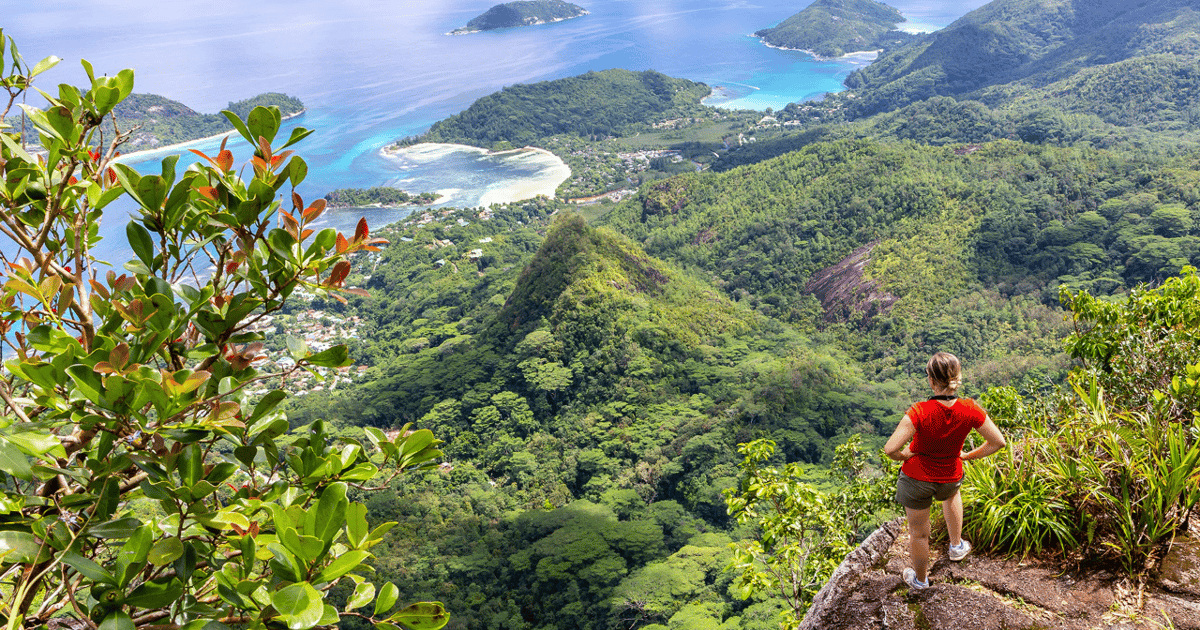 Le Morne Brabant Guided Eco Hiking and Transfers | GetYourGuide