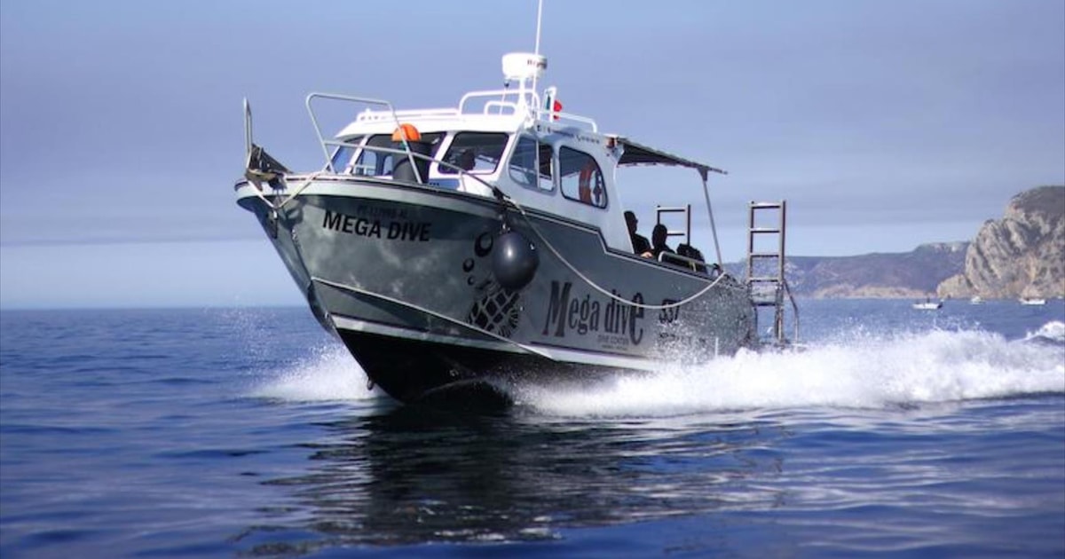 Sesimbra: Double Dive on a Marine reserve | GetYourGuide