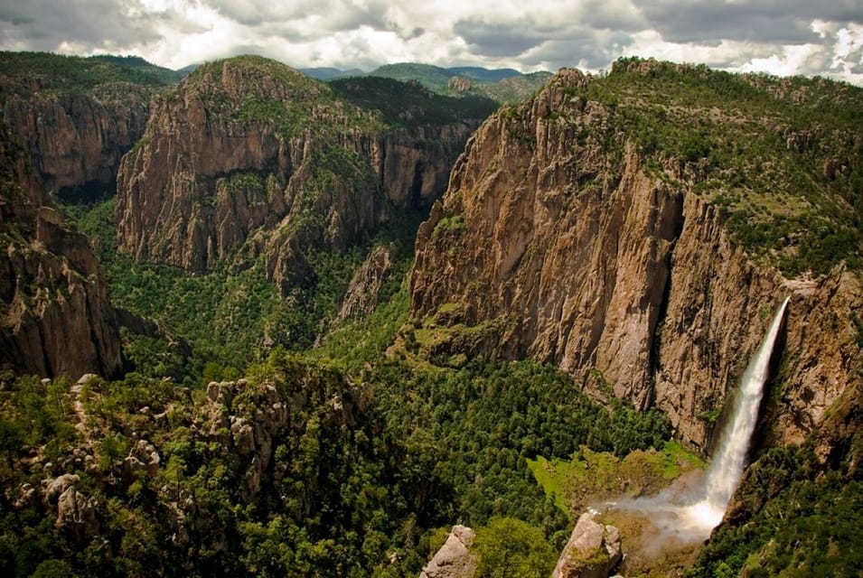 From Chihuahua: Basaseachi Waterfall National Park Tour | GetYourGuide
