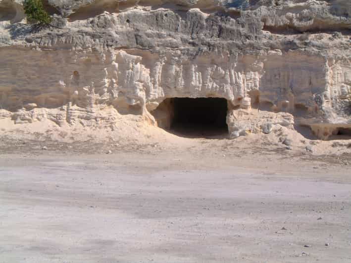 Kaapstad: Robbeneiland-ontdekkingstour met hotelovername | GetYourGuide