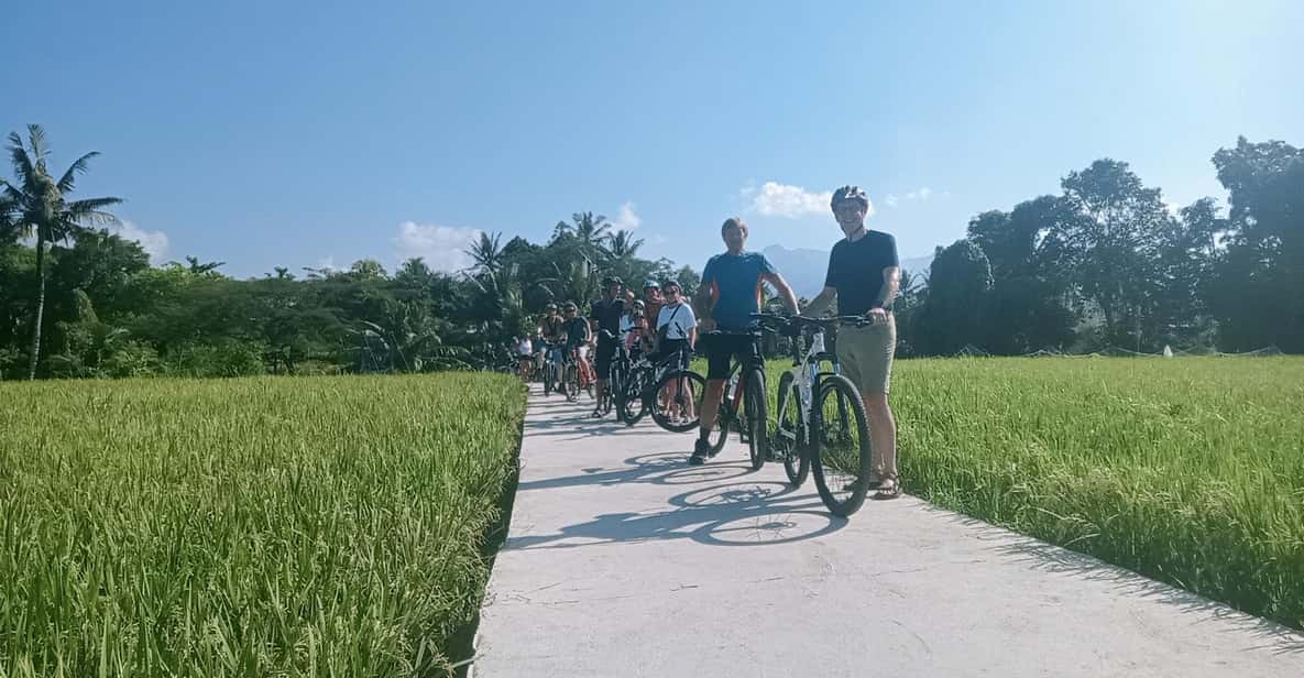 Lombok : Rice Field, Lingsar Temple, Fun Ride | GetYourGuide