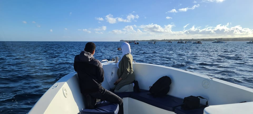 Private Dolphin Watching/Swimming with Halal Lunch on Island | GetYourGuide