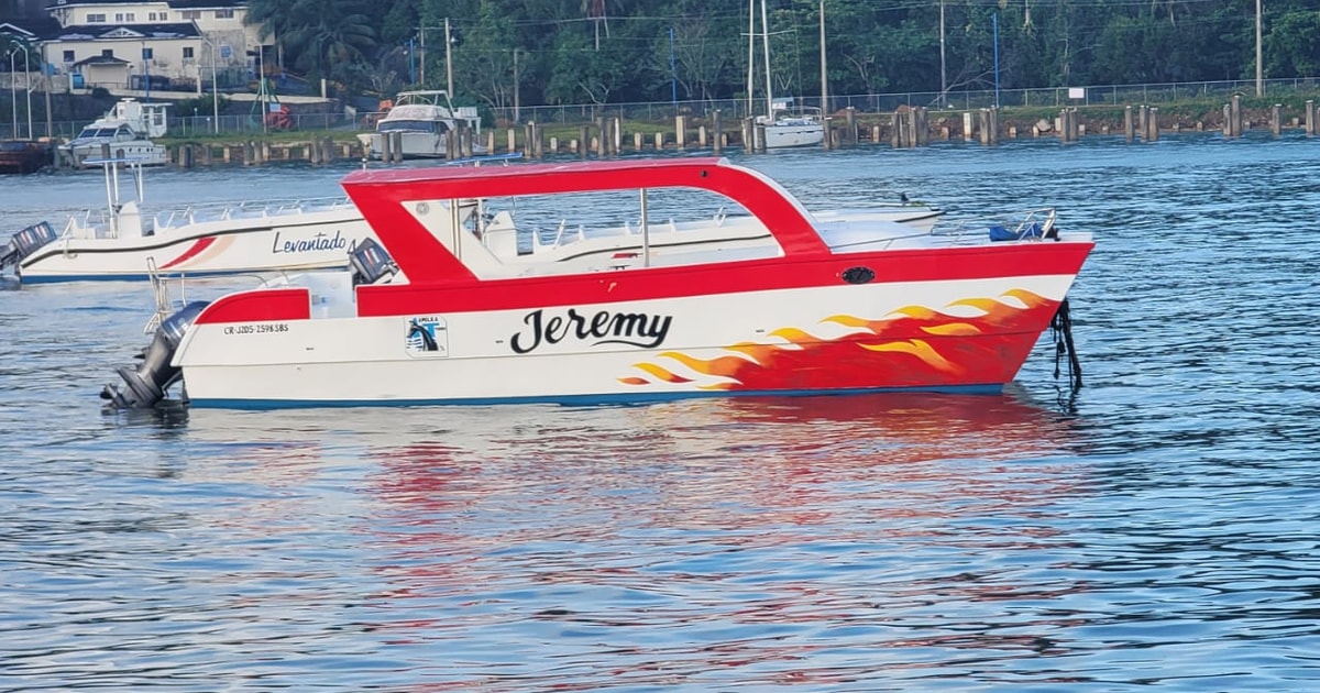 Samana: Rent Catamaran Boat in Samana Bay | GetYourGuide