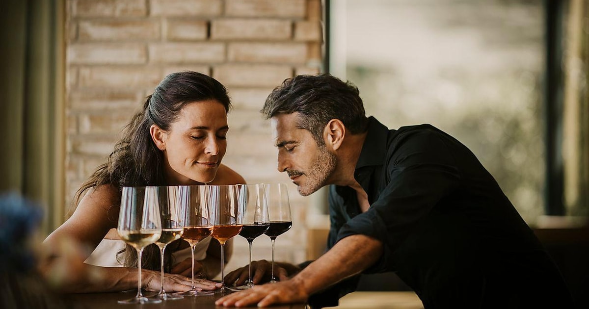 From Milan: Piemonte Barolo Wine Tour with a Private Driver | GetYourGuide