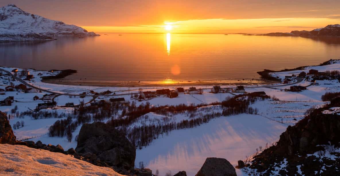 Tromso: Arctic Sommaroy White Beaches Day Trip | GetYourGuide