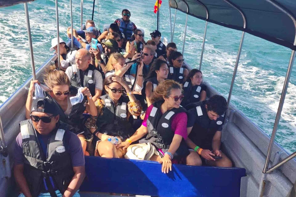 Discover the San Blas Islands in one day (3 islands) | GetYourGuide