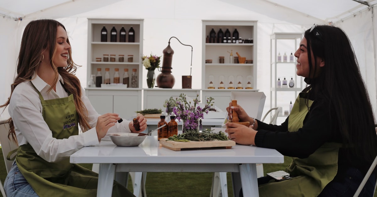 Lavender Workshop | GetYourGuide