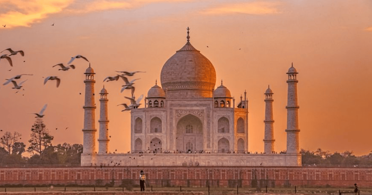 Circuit de luxe au Taj Mahal depuis Delhi | GetYourGuide