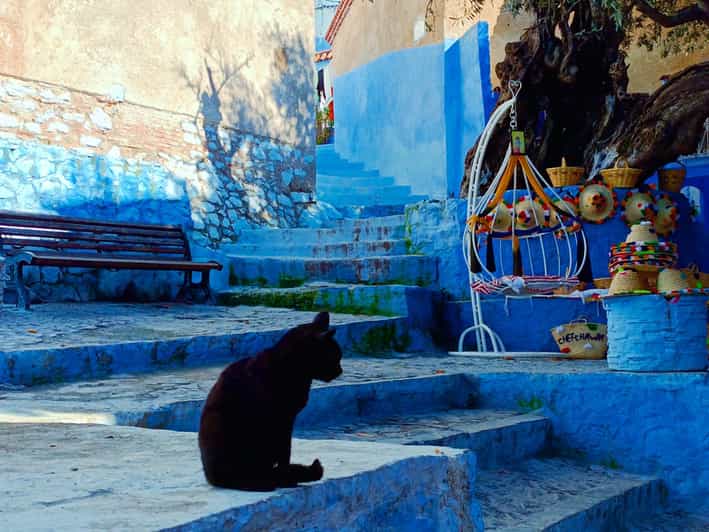 Memorable Day Trip From Fez to Chefchaouen the Blue City | GetYourGuide