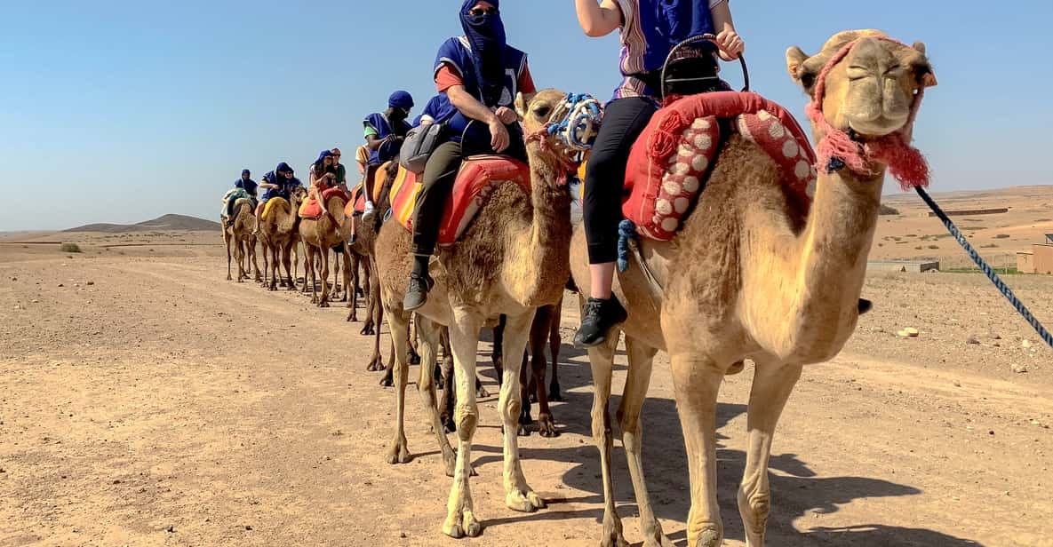 Atlas Mountains & Desert camel ride and waterfall with Guide | GetYourGuide