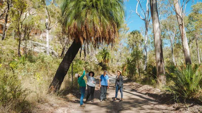 Queensland: Discover Carnarvon Ranges (Wallaroo) Day Tour | GetYourGuide