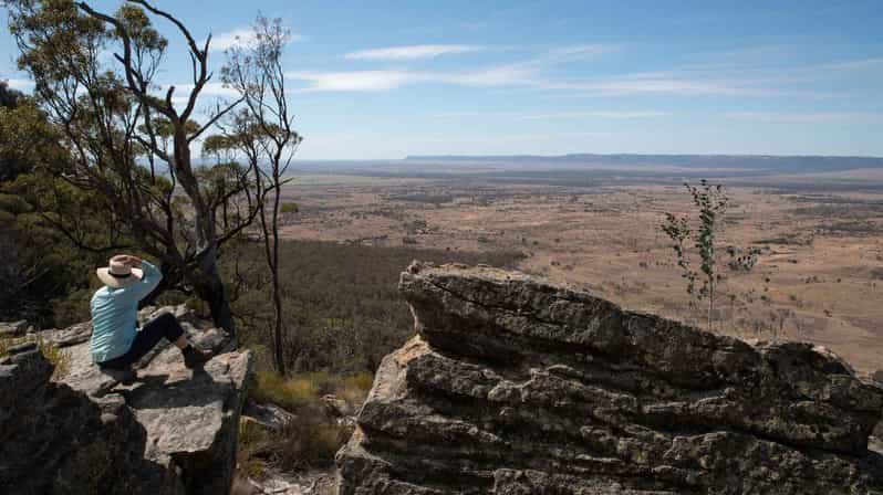 Queensland: Discover Carnarvon Ranges (Wallaroo) Day Tour | GetYourGuide