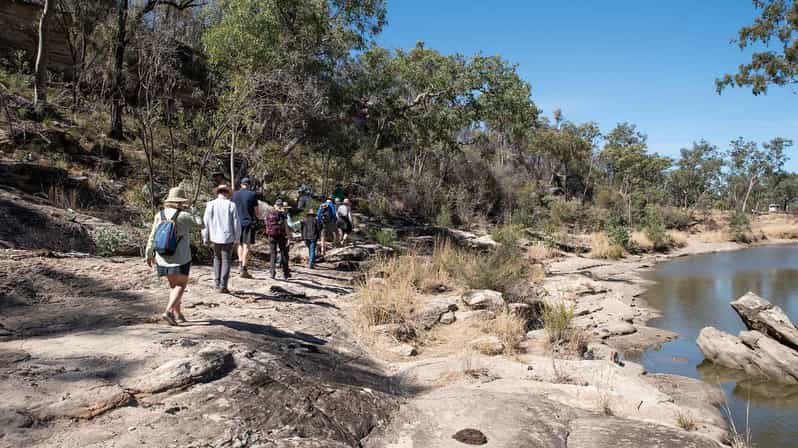Queensland: Discover Carnarvon Ranges (Wallaroo) Day Tour | GetYourGuide