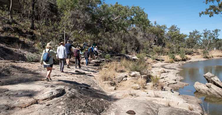 Queensland: Discover Carnarvon Ranges (Wallaroo) Day Tour | GetYourGuide