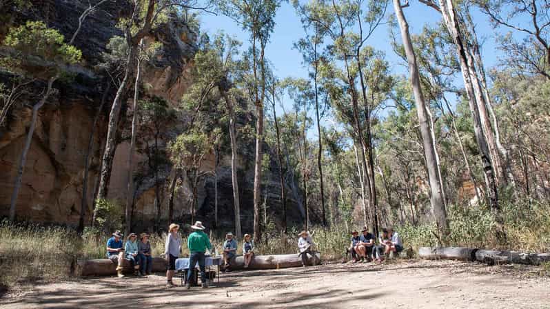 Queensland: Discover Carnarvon Ranges (Wallaroo) Day Tour | GetYourGuide