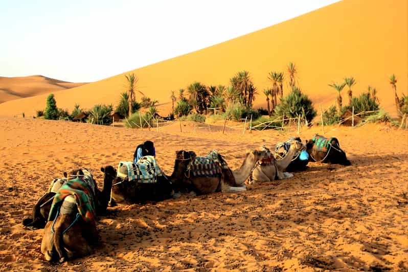 Shared 3-day Sahara desert tours from Marrakech | GetYourGuide