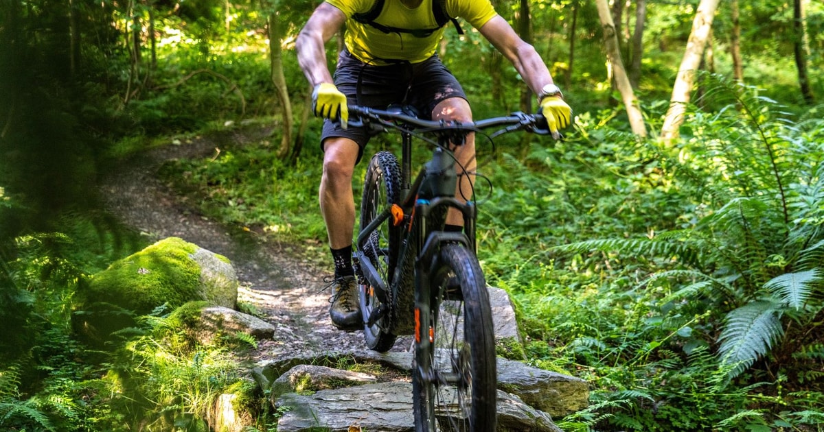 Au départ de Belfast : Expérience de vélo de montagne | GetYourGuide