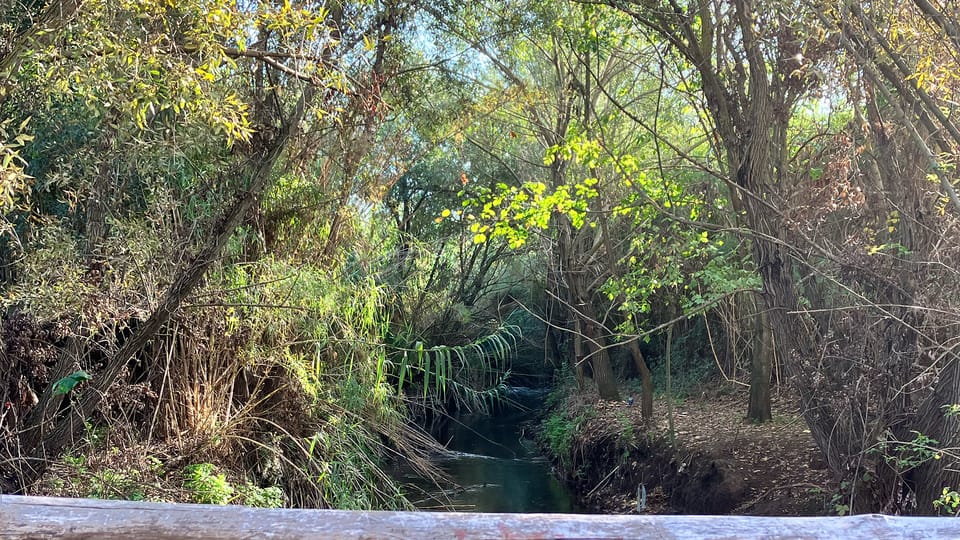 Rome: Urban hike in the Caffarella Park | GetYourGuide