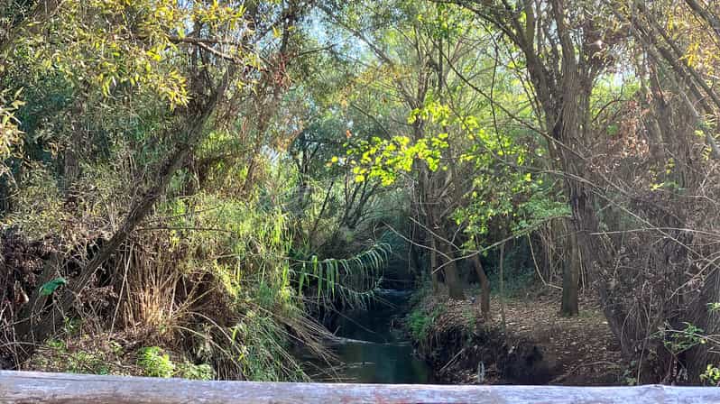 Rome: Urban hike in the Caffarella Park | GetYourGuide