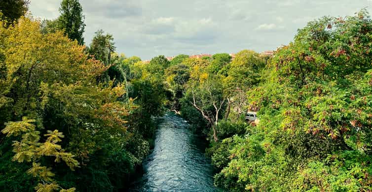 Rome: Urban hike along Rome's second biggest river (Aniene) | GetYourGuide