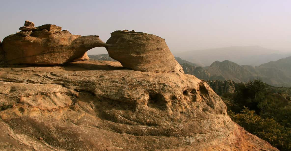 Dana Nature Reserve & Al-Karak Castle dagstur | GetYourGuide
