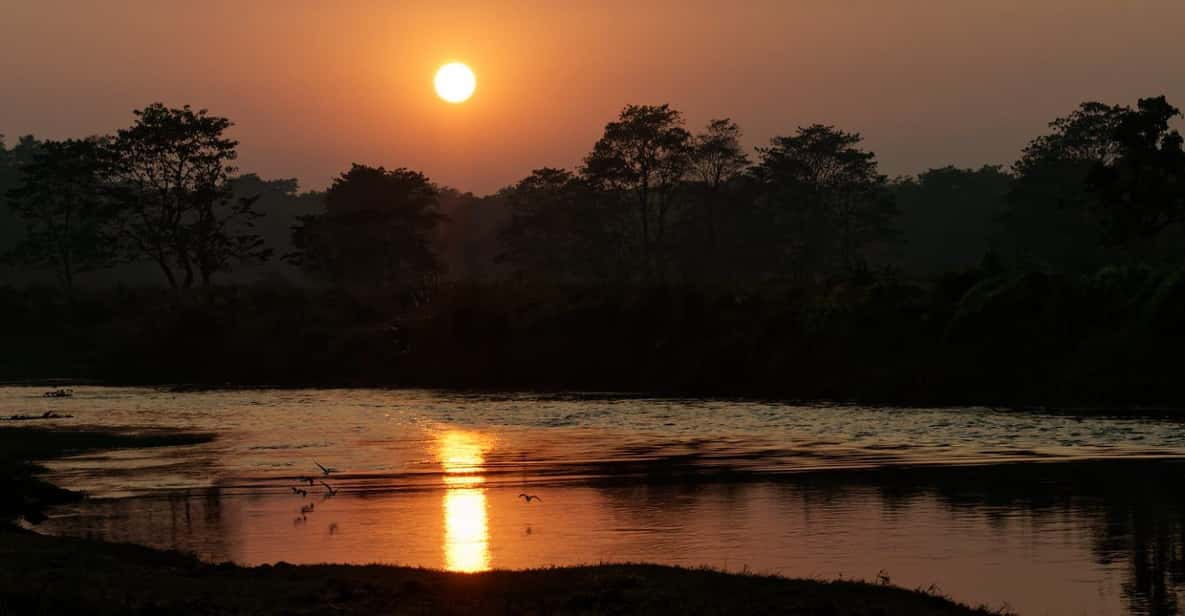 Kathmandu: 3 Day Chitwan Jungle Safari Tour Package | GetYourGuide