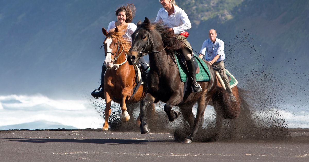 Faial Island: Horseback Riding (3 hrs - Experienced Riders) | GetYourGuide